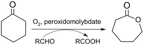 Cyclohexanone Oxidation