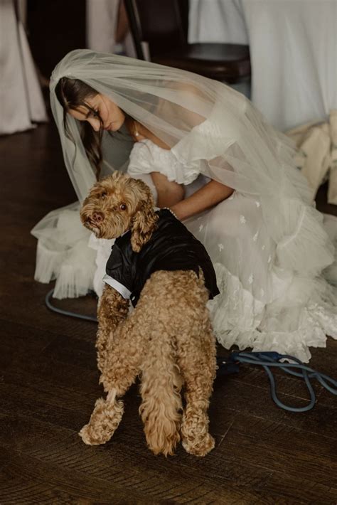 Taylor Hill Vogue Wedding Photodiary June 2023 Hawtcelebs