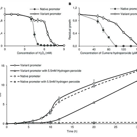 The Constitutive Bimodal Expression Pattern Produced By The Noisiest