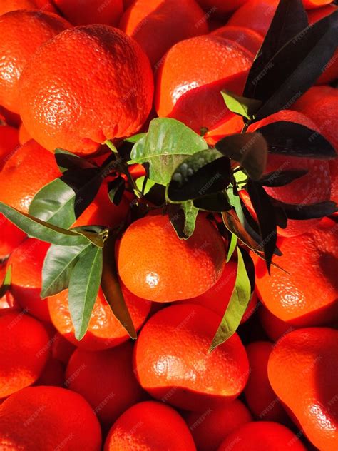 Premium Photo W Murcott