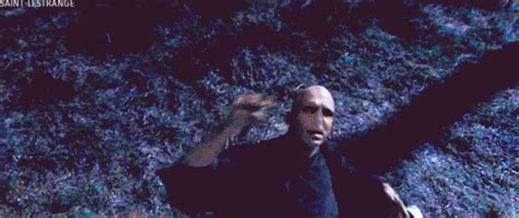 I Had A Sex Dream About Voldemort Last Night Wtf Rtrollxchromosomes