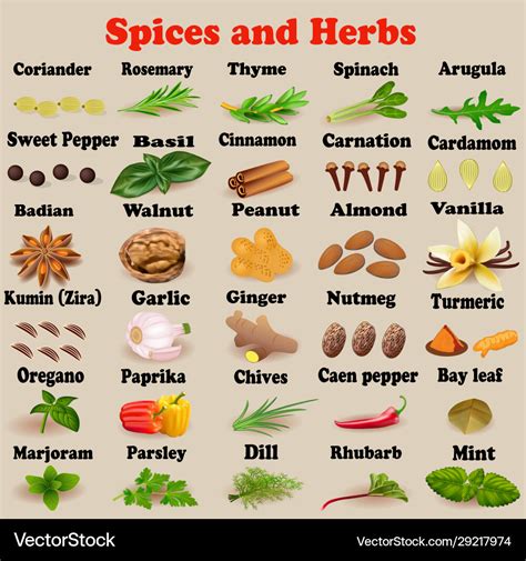 Spices And Herbs