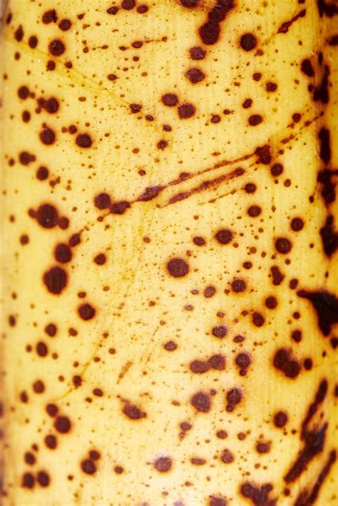 Macro Food Photography Banana Peel Ingredients Photography Pattern