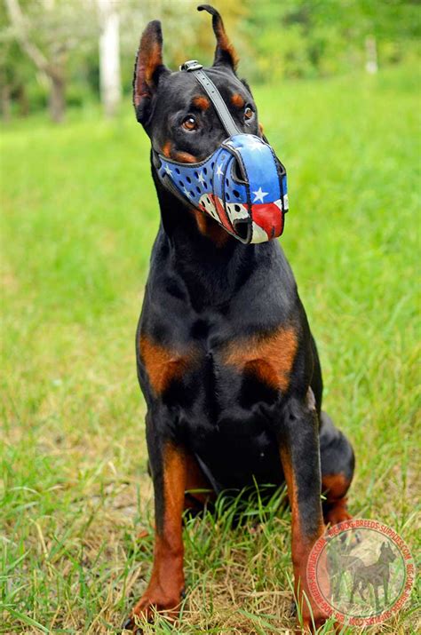 Painted Leather Doberman Muzzle Dog Agitation Training