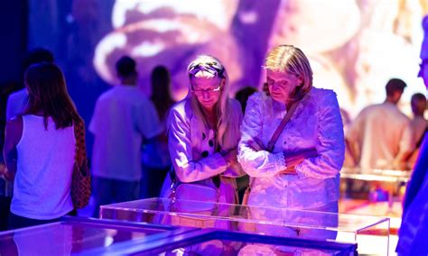 Foundation For The Wa Museum Worlds Colliding In The Depths Of Our Oceans