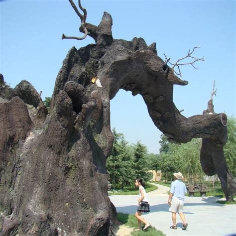 晚潮｜驾游中原，追寻秦汉（上）