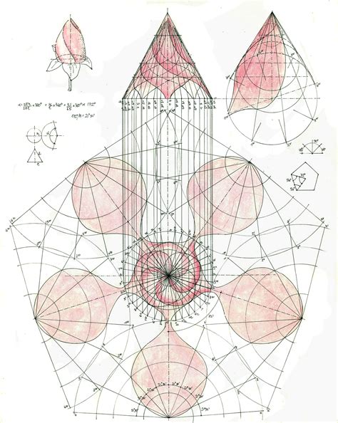 Geometry Drawings