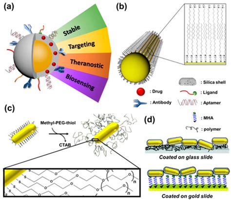 Gold Nanoparticles As A Biosensor For Cancer Biomarker Determination