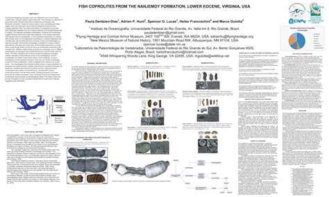 Coprolite Identification Fossil Id The Fossil Forum