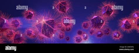 Illustrations Of Giant Virus Phylum Nucleocytoviricota Particles