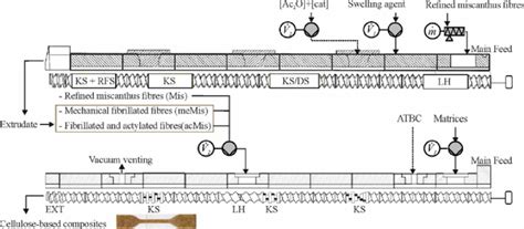 Preparation Of All Cellulose Composites Through Two Step Extrusion Lh Download Scientific