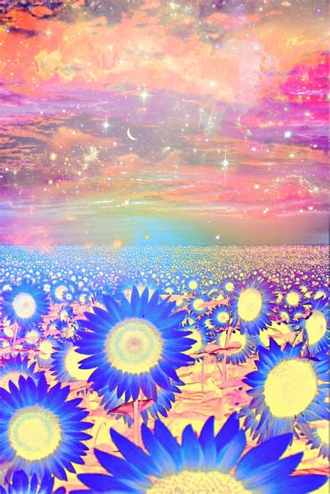 Sunflower Galaxy Wallpapers Top Free Sunflower Galaxy Backgrounds