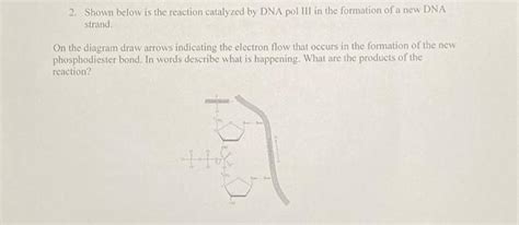 [solved] 2 Shown Below Is The Reaction Catalyzed By Dna Po