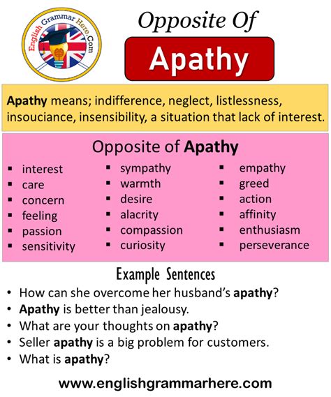 Opposite Of Empathy Antonyms Of Empathy Meaning And 51 Off