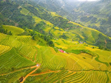 Imagem Aérea De Terraços De Arroz No Vale De Y Linh Ho Província De
