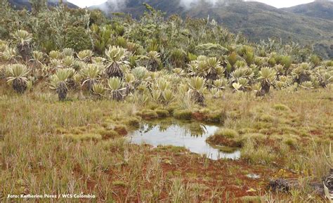 Ministra De Ambiente Anunció Importante Aporte Económico Para