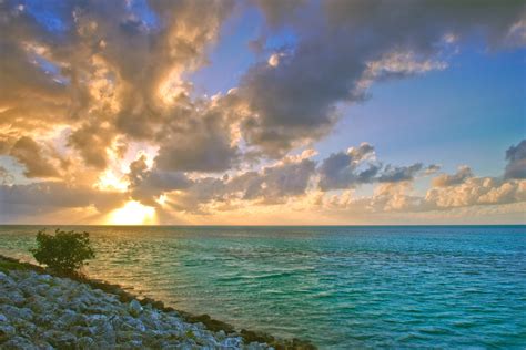 Sharon Docherty Danco Pllc