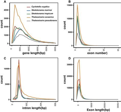 The Composition Of Gene Elements In The S Tropicum And Other Closely