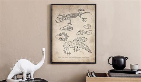 Leopard Gecko Skeleton Wall Art Gecko Skull Drawing Print Reptile