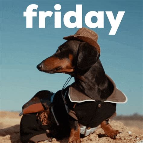 Happy Friday Dog 
