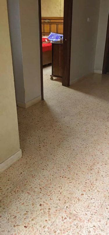 Do You Know About Habibi Tutu Tumbex