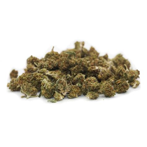 Mini Buds Royal Cheese Cbd Oferta Cbd Premium Naturwest