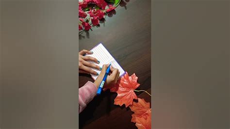 Cute Mini Diary🩷💚 Youtube