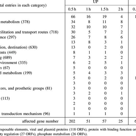 Functional Classification Of Iodine Affected Genes Download Table