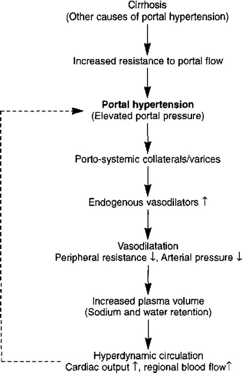 Portal Hypertension Pathophysiology