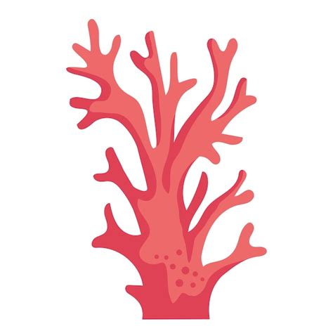 Red Coral Clip Art Red Coral Close Over 2 088 Royalty Free Licensable