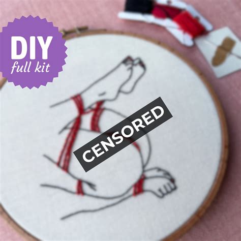 Shibari Legs Erotic Embroidery Kit Fabric Pattern Hoop Thread Needle And Instructions 18