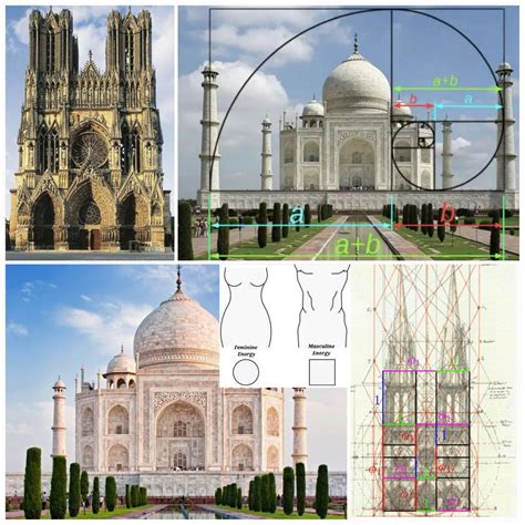 Fibonacci Sequence In Architecture Examples