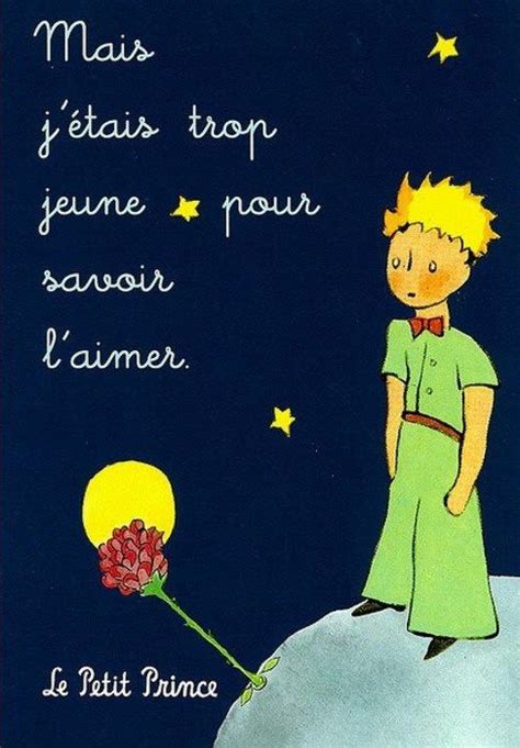 Jétais Trop Jeune Little Prince Quotes French Quotes The Little