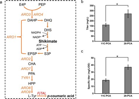 Production Of P Coumaric Acid By Crabtree Positive And Negative S