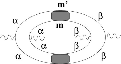 Leading Diagrams For Conductance Correlator The Wavy Lines Represent Download Scientific