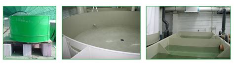 Solid Environmental Plastic Pp Polypropylene Sheet With Custom Work