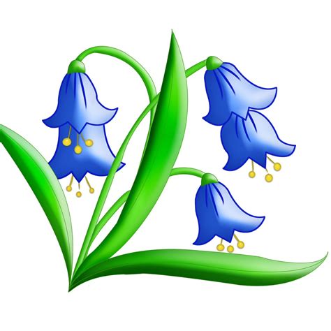 Цветы колокольчики на прозрачном фоне Zefirkaclub фото и картинки