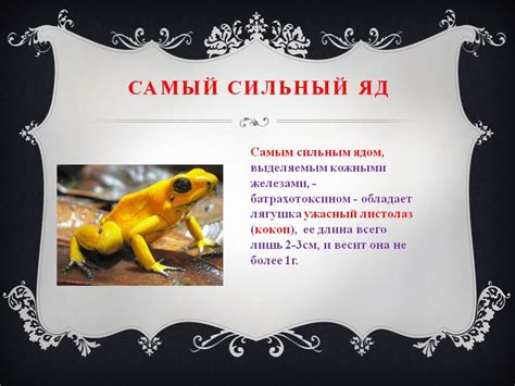 Самый сильный яд - Химия