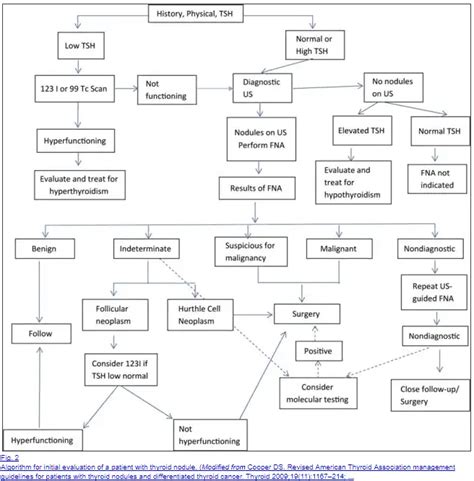 Types Causes And Symptoms Of Thyroid Problems Treatment Tips
