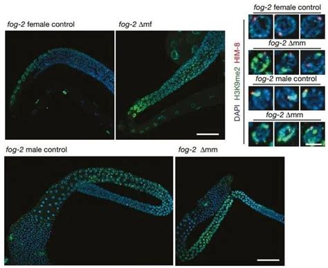 辐射伤精？《自然》：破坏精子dna且无法修复，还通过父亲遗传 知乎