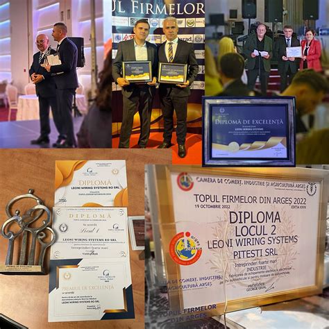 Andrada Verdes On Linkedin Leoni Leoniromania Leonicare Weareleoni Leoniresultsorientation