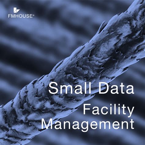Small Data In Facility Management Grupo Fmhouse