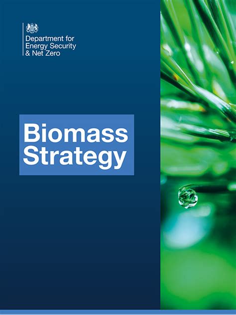 Biomass Strategy Released Bbsm