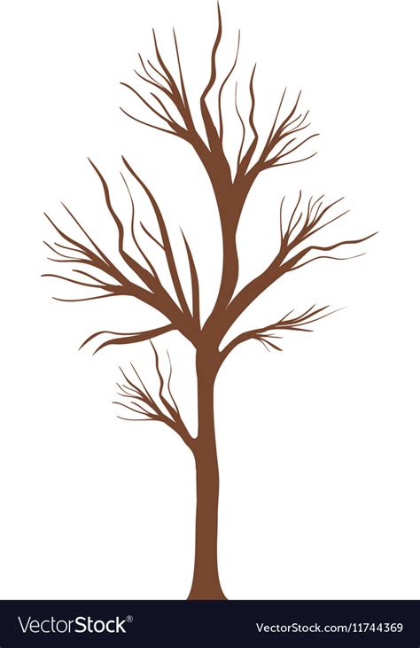 Tree Trunk With Branchs Without Leaves Royalty Free Vector
