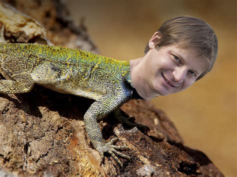 Very Bad Lizard Rverybadwizards