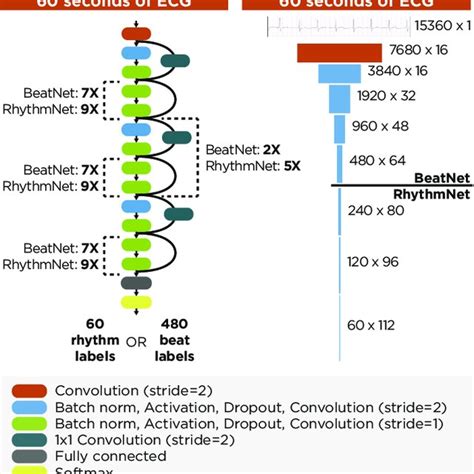 Deep Learning Model Architecture Ecg 5 Electrocardiogram Download Scientific Diagram