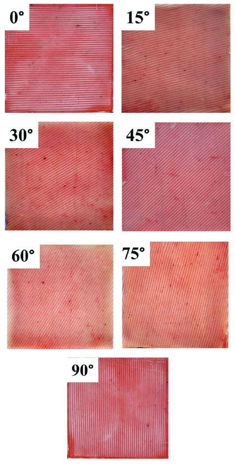 Anisotropic Synthetic Skin With Varying Fiber Angles Download
