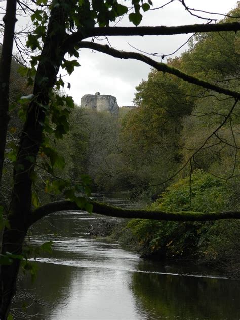 Pixie Dragon Pixie Dragon Added A New Photo