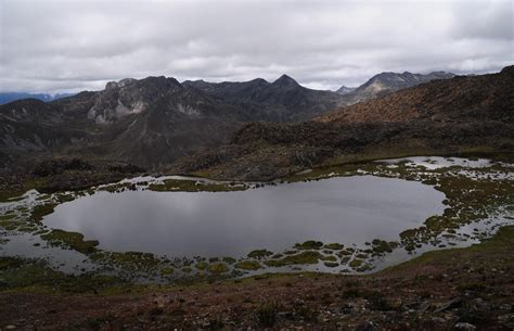 Community Participation Carbon Offsetting And Wetland Restoration In