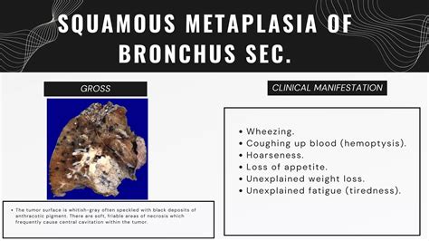 Microscopic Slidespdf